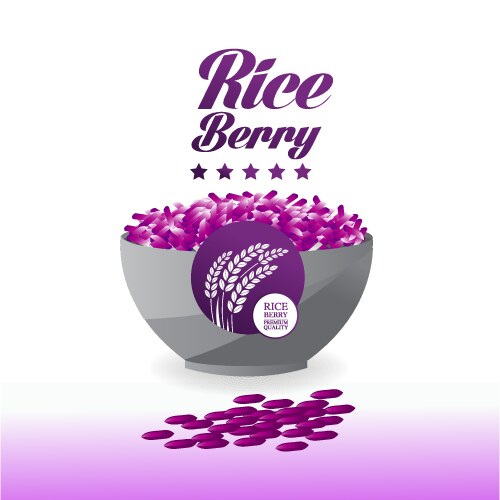 Rice2 Royalty Free Vector Image - VectorStock