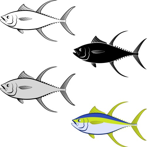 Tuna Royalty Free Vector Image - VectorStock