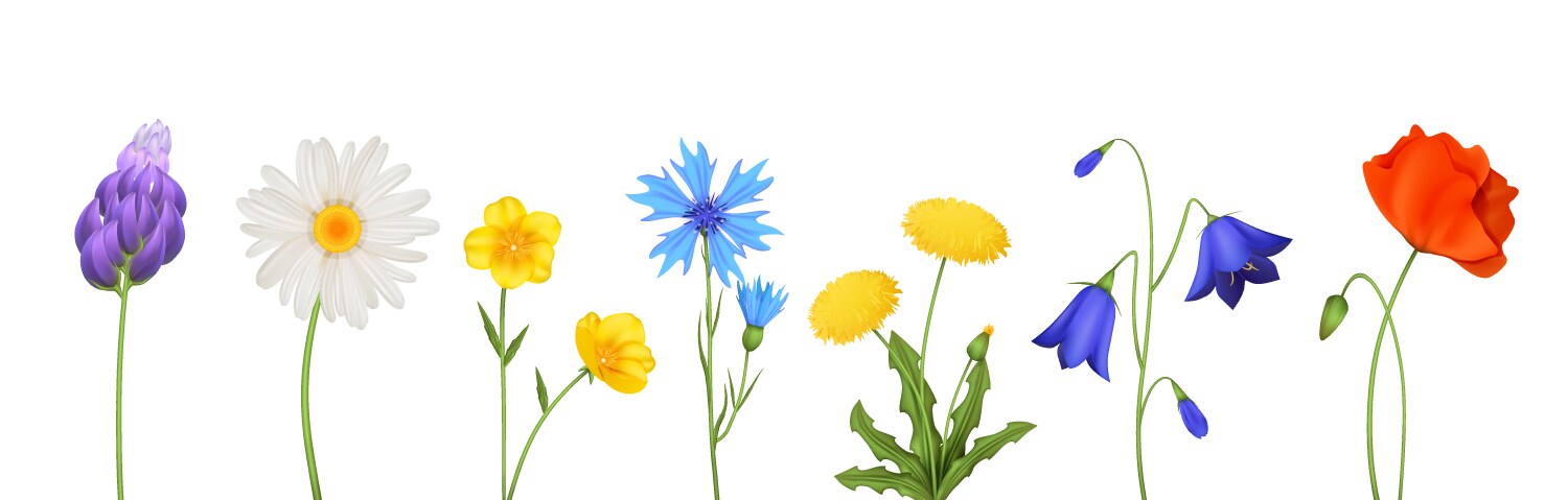 Spring Flowers Realistic Vector Images (over 21,000)