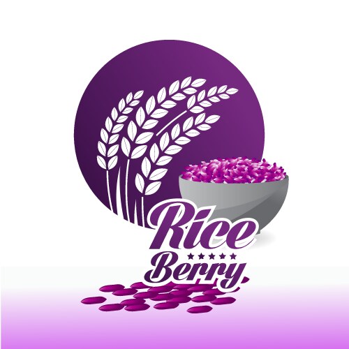 Rice2 Royalty Free Vector Image - VectorStock