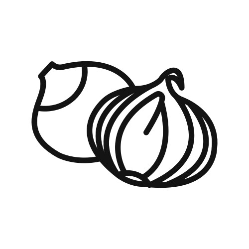 Shallot Drawing Vector Images (over 220)