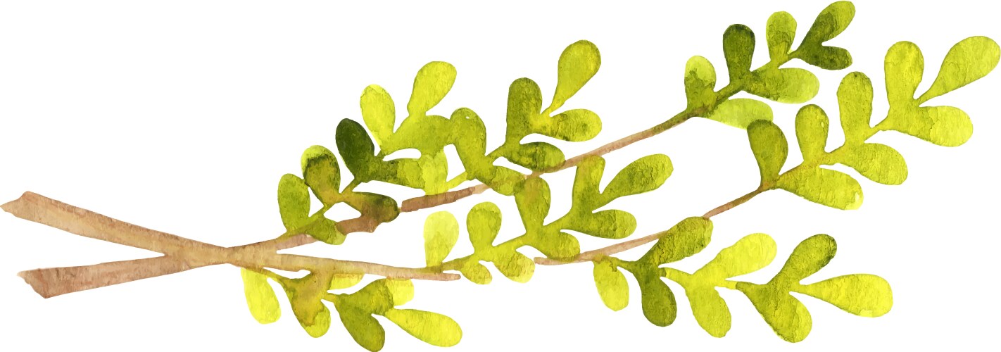 Rustic Leaf Border Vector Images (over 13,000)