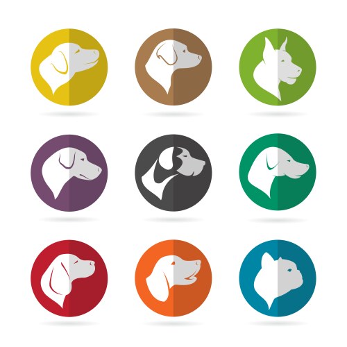 Group of pets Royalty Free Vector Image - VectorStock