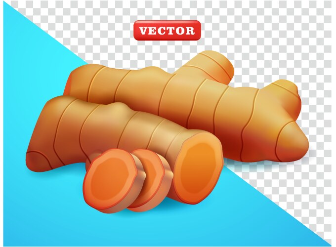 Turmeric Vector Images (over 3,100)