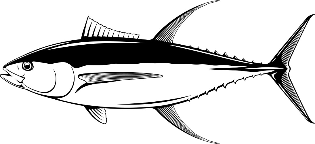 Tuna Vector Images (over 32,000)