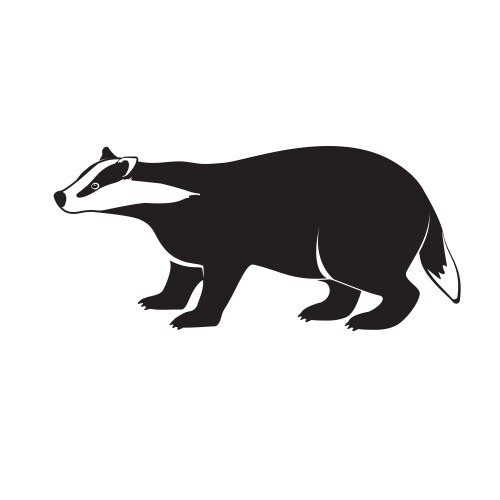 Badger Vector Images (over 3,900)