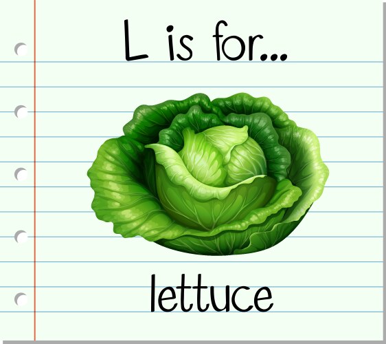 Flash Card L Vector Images (over 160)