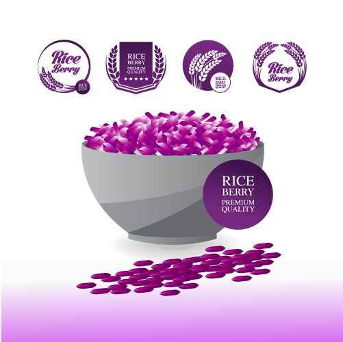 Rice2 Royalty Free Vector Image - VectorStock