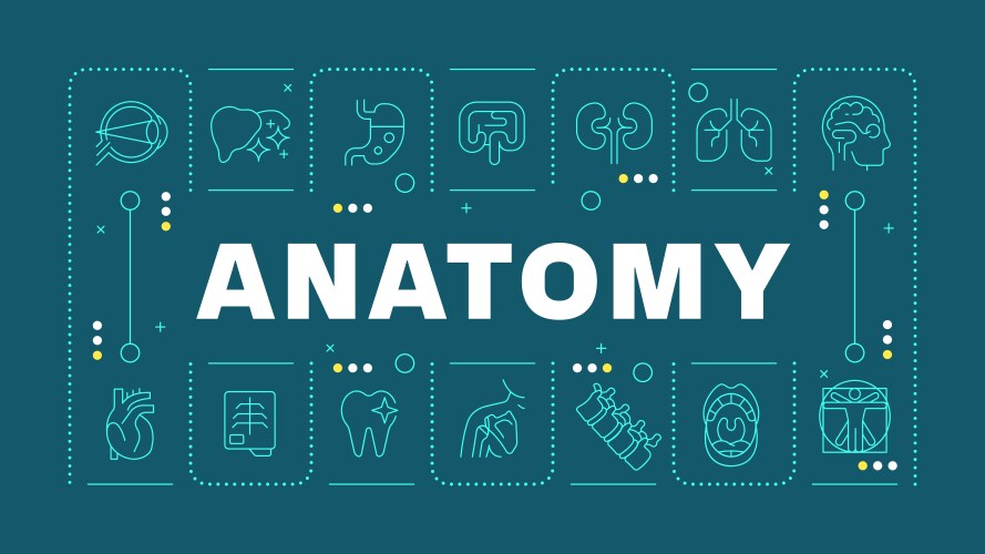 Chemistry dark blue word concept Royalty Free Vector Image