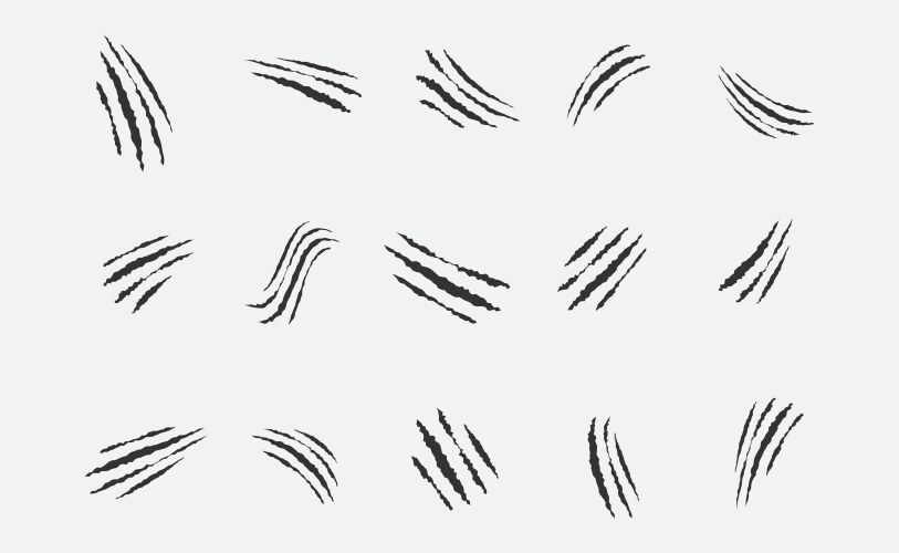 Claws scratches animal monster mark design Vector Image