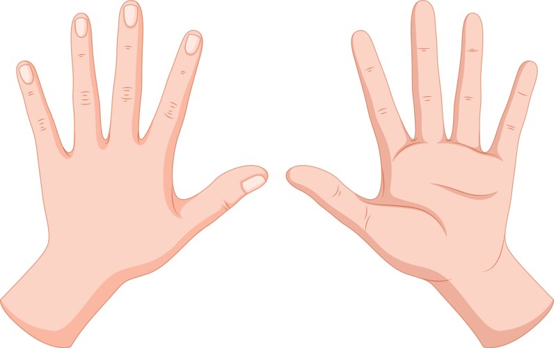 A human hand cartoon Royalty Free Vector Image