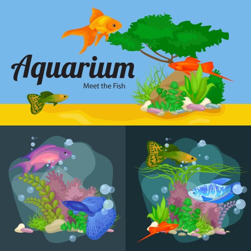 Exotic fish species aquarium with seaweed flora Vector Image