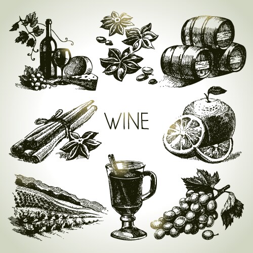 Wine winemaking and vineyard Royalty Free Vector Image