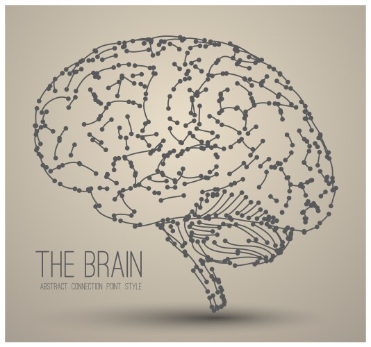 Brain Vector Images (over 240,000)