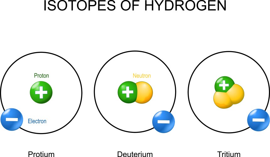 Anion cation and neutral atoms of hydrogen Vector Image