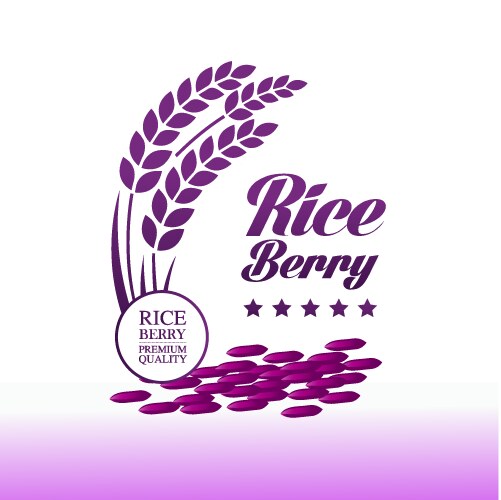 Rice2 Royalty Free Vector Image - VectorStock
