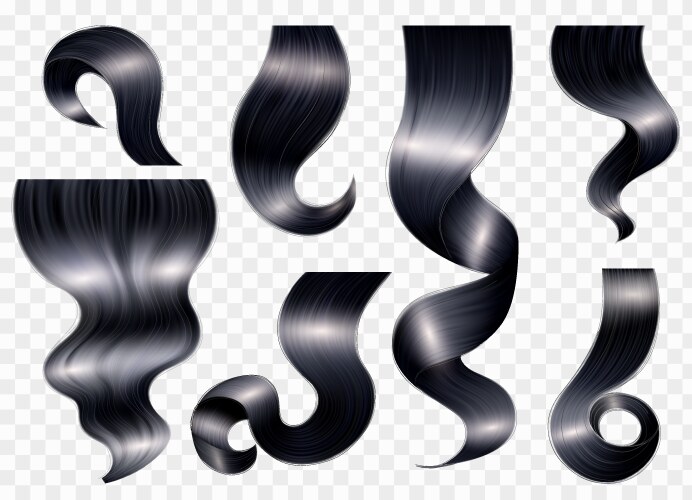 Hair Palette Vector Images (over 2,900)