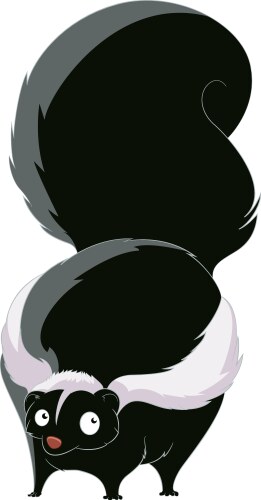 Skunk Royalty Free Vector Image - VectorStock