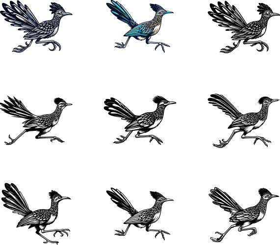 Roadrunner feeding chicks at nest with insect Vector Image