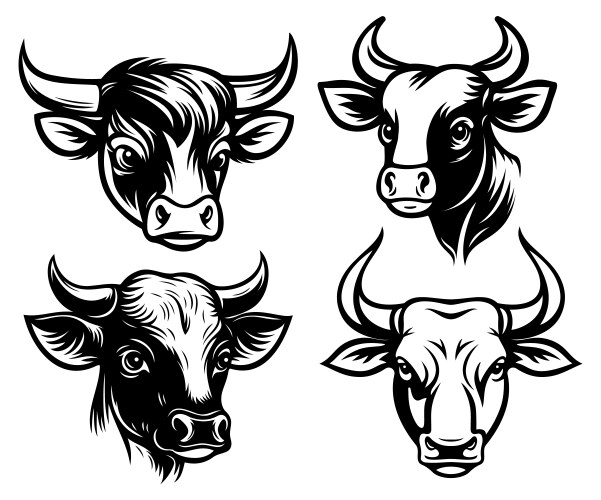 Vintage powerful bull head concept Royalty Free Vector Image