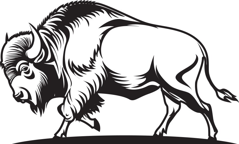 Bison Outline Vector Images (over 2,900)