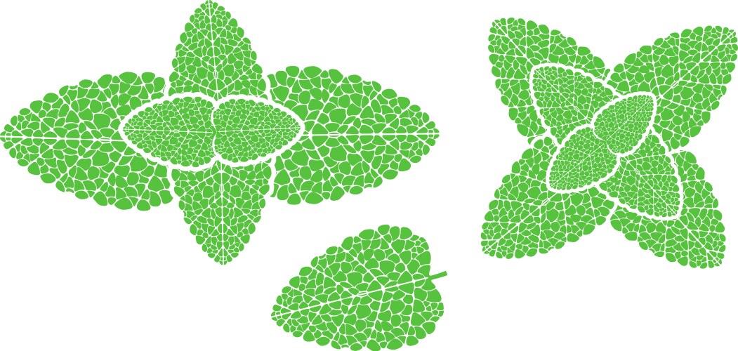 Mint Outline Vector Images (over 7,600)