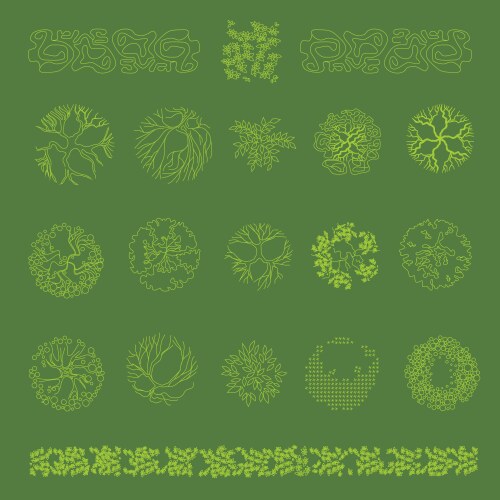 Plants plan Vector Images & Graphics for Commercial Use | VectorStock