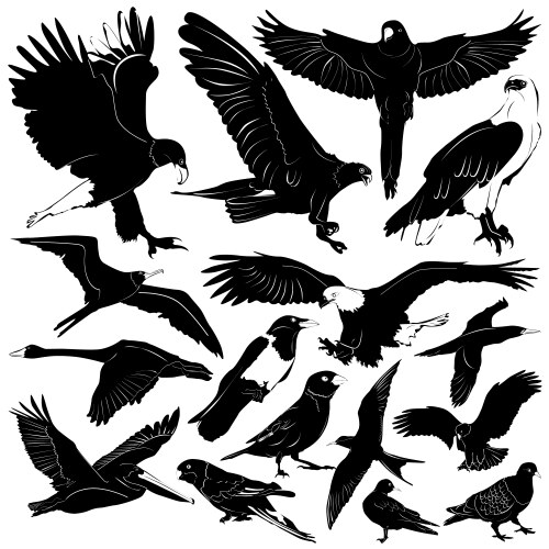 Birds Vector Images (over 620,000)