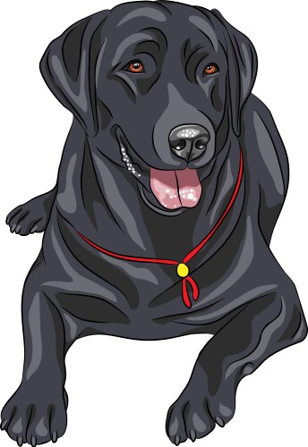 Labrador Cartoon Vector Images (over 6,500)