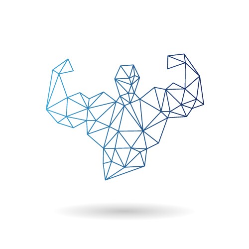 Arm muscle anatomical biceps and triceps Vector Image