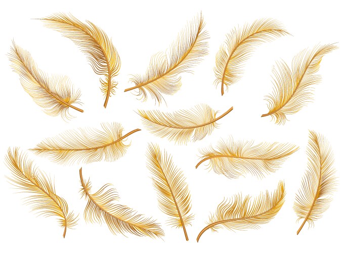 Golden Feather Vector Images (over 9,500)