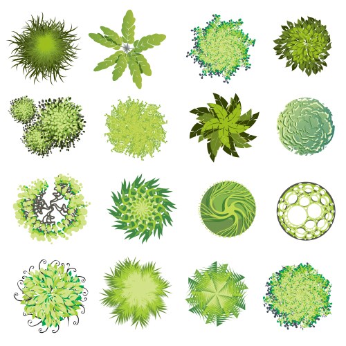 Trees top view for landscape Royalty Free Vector Image