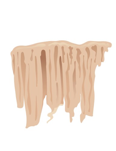 Stalagmite Cave Stalactite Vector Images (over 280)