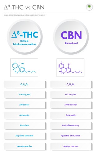 9-thc vs cbn delta 9 tetrahydrocannabinol Vector Image