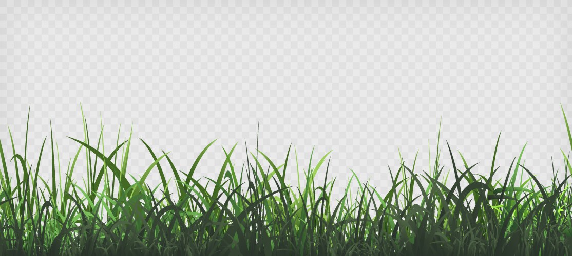 Green Grass Seamless Pattern Vector Images (over 9,500)