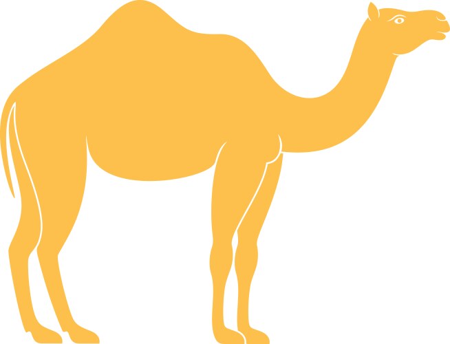 Cartoon camel in flat style on white background Vector Image