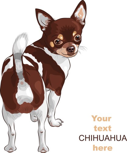 Chihuahua Vector Images (over 4,700)