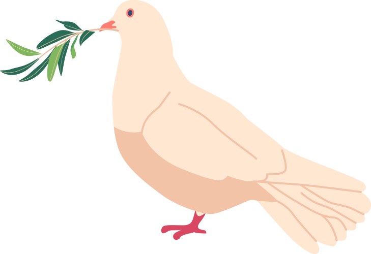 Dove with Olive Branch Vector Images (over 3,500)