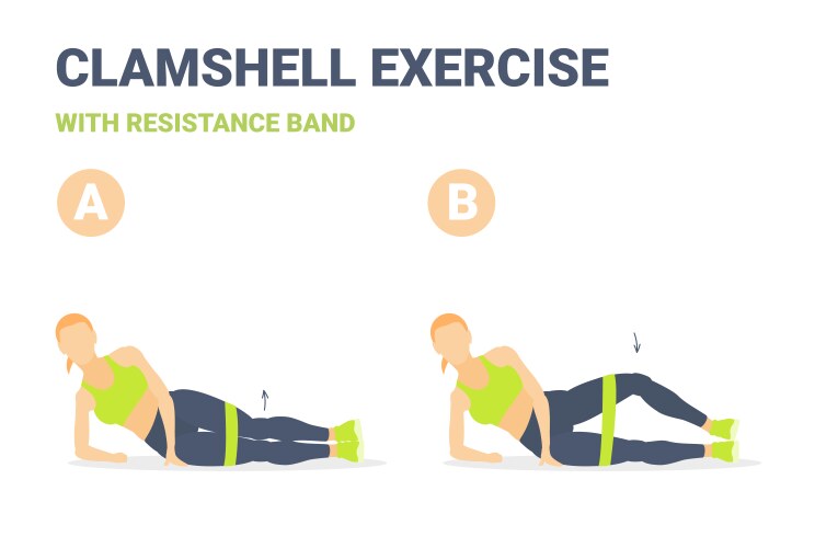 Resistance tubes band with handles exercises Vector Image