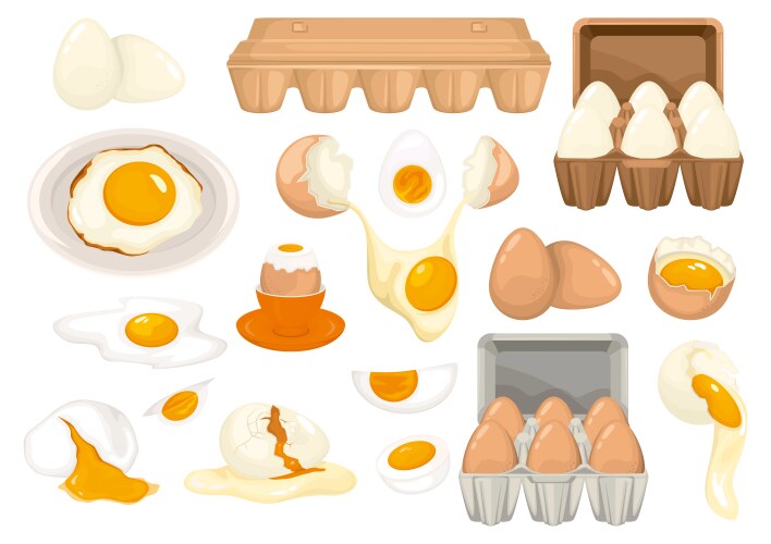 Flat set of various dishes detailed food Vector Image