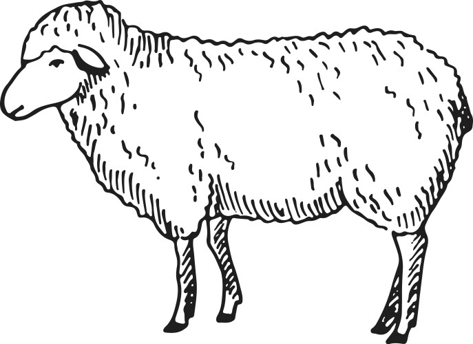Lamb Outline Vector Images (over 7,700)