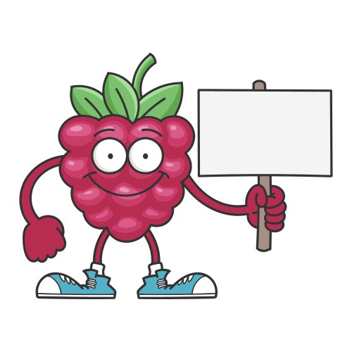 Raspberry Royalty Free Vector Image - VectorStock