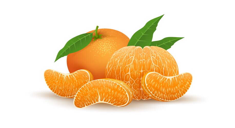 Tangerine Vector Images (over 13,000)