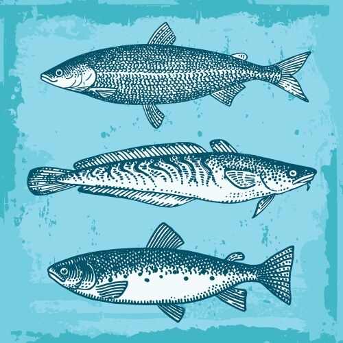 Carp fish cartoon Royalty Free Vector Image - VectorStock
