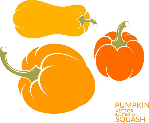 Pumpkin Vector Images (over 220,000)