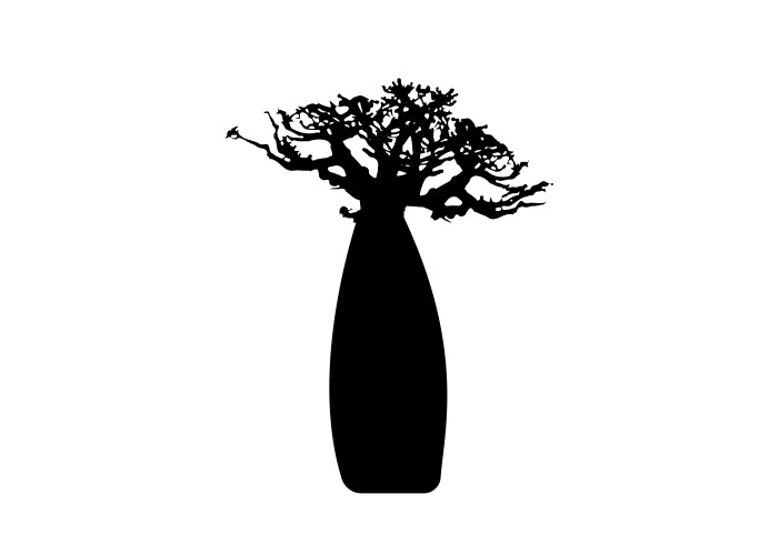 Baobab Tree Vector Images (over 2,100)