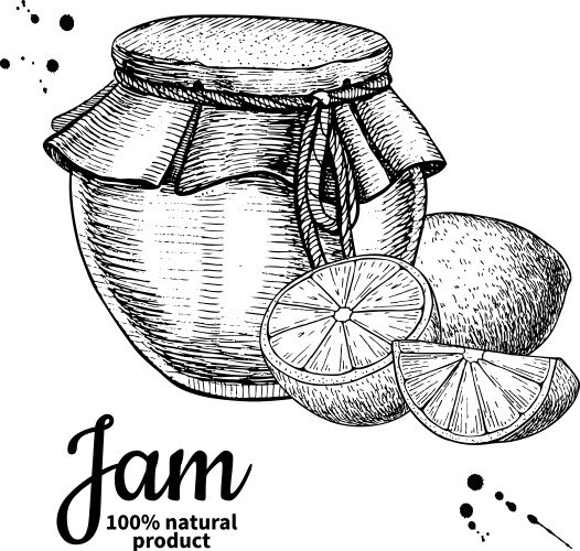 Fruit jam glass jar drawing jelly Royalty Free Vector Image