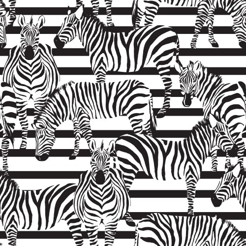 Zebra Cartoon Vector Images (over 13,000)