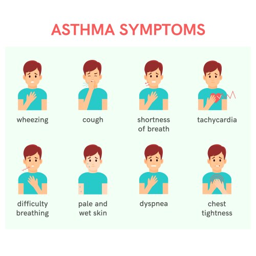 Asthma signs and symptoms infographic Royalty Free Vector
