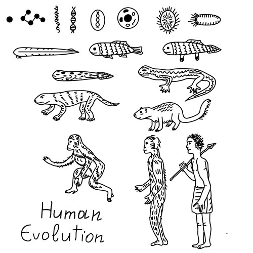 Evolution Fish Vector Images (over 620)